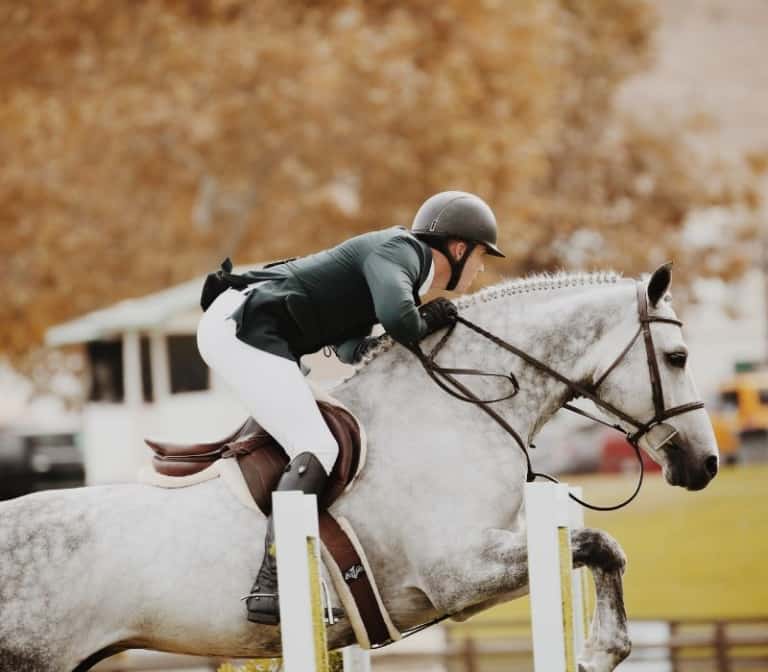 Warren Tope - Visit Dark Horse Racing For Betting Tips And Odds